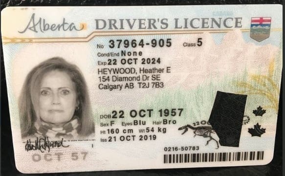 Order Alberta Drivers License | Faux Global Documents